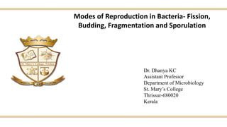 Modes of bacterial reproduction | PPTX