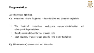 Modes of bacterial reproduction | PPTX