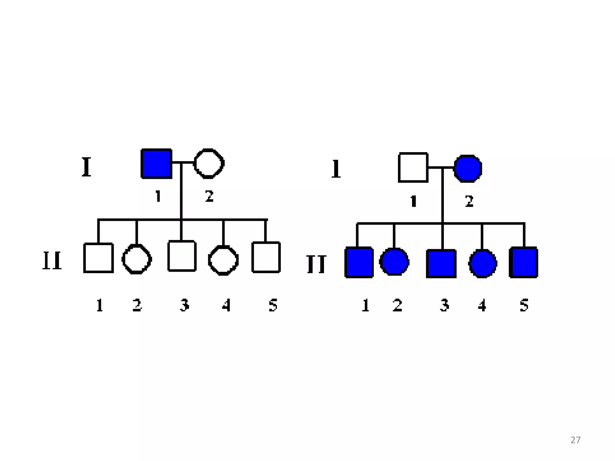 Modes of inheritance | PPTX