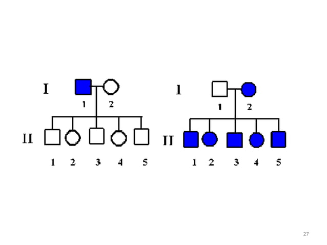 Modes of inheritance | PPTX