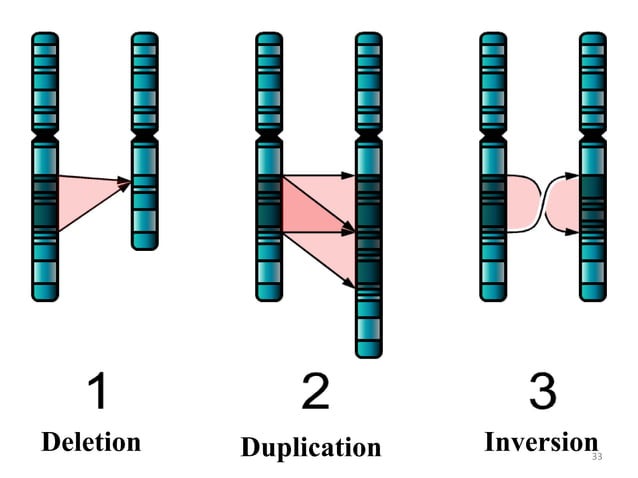 Modes of inheritance | PPTX