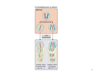 Modes of inheritance | PPTX