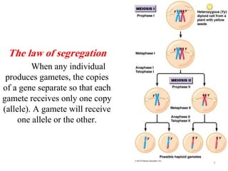 Modes of inheritance | PPTX