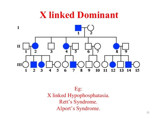 Modes of inheritance