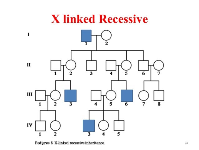 Modes Of Inheritance
