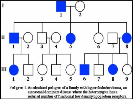 Modes of inheritance.pptx | Genetics | Science