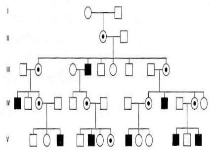 Modes of inheritance.pptx | Genetics | Science