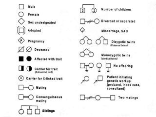 Modes of inheritance.pptx