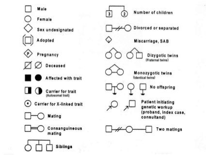 Modes of inheritance.pptx | Genetics | Science