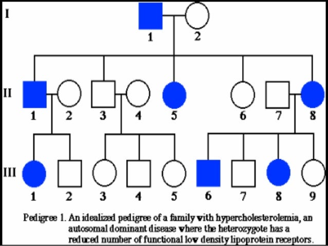 Modes of inheritance.pptx | Genetics | Science