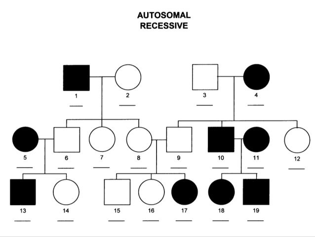 Modes of inheritance.pptx | Genetics | Science