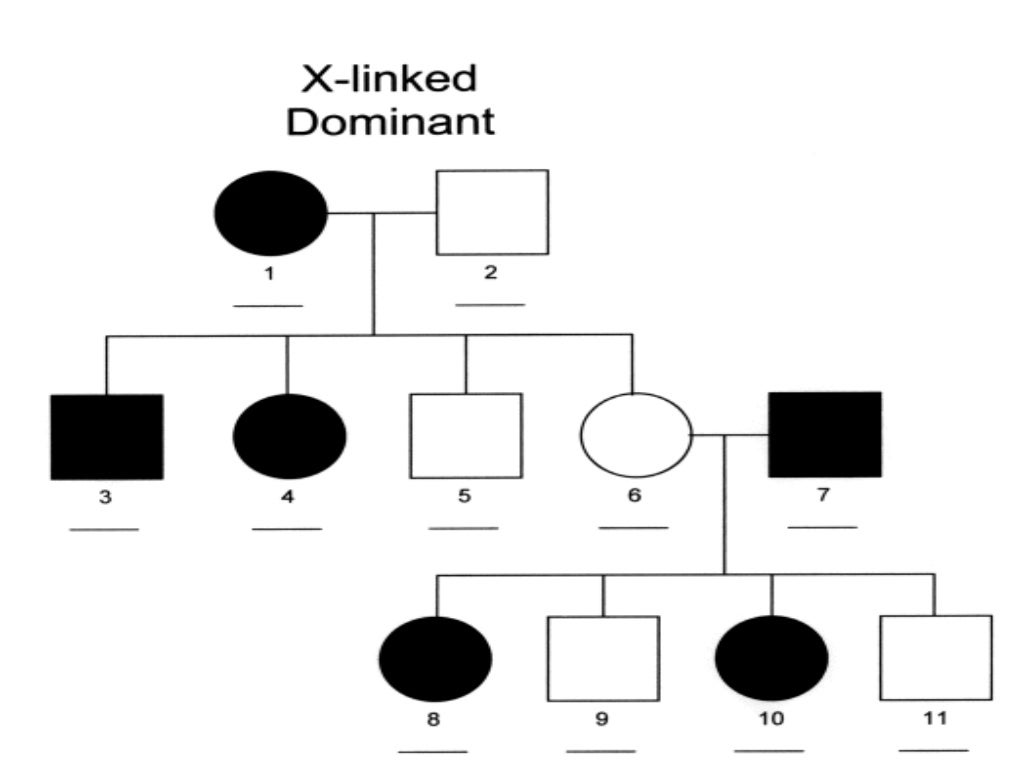 Modes of inheritance.pptx