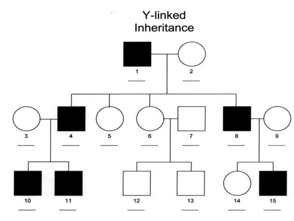 Modes of inheritance.pptx