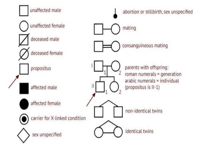 Modes Of Inheritancepptx Genetics Science