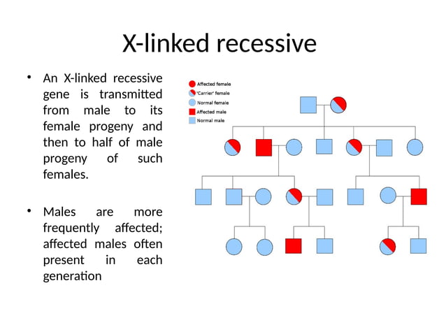 Modes of inheritance of Genes (HMG).pptx