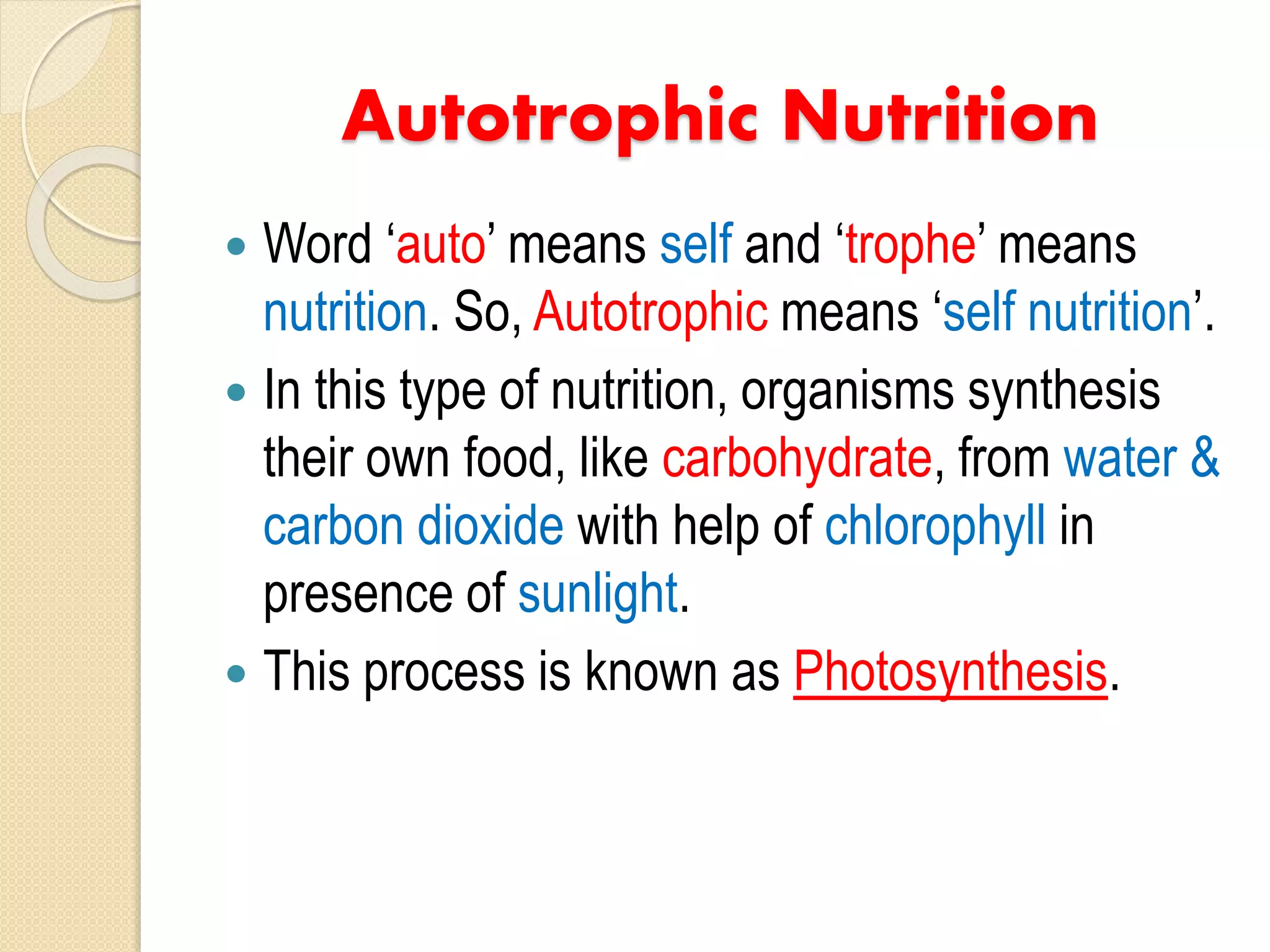 Modes of nutrition | PPTX