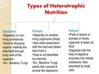 Modes of nutrition | PPTX