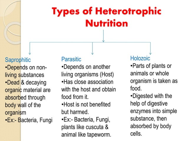Modes of nutrition | PPTX | Nutrition | Healthy Living