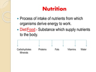 Modes of nutrition | PPTX | Nutrition | Healthy Living