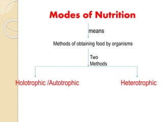 Modes of nutrition | PPTX