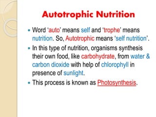 Modes of nutrition | PPTX | Nutrition | Healthy Living