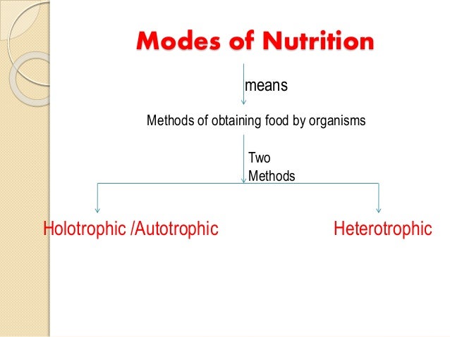 Modes of nutrition