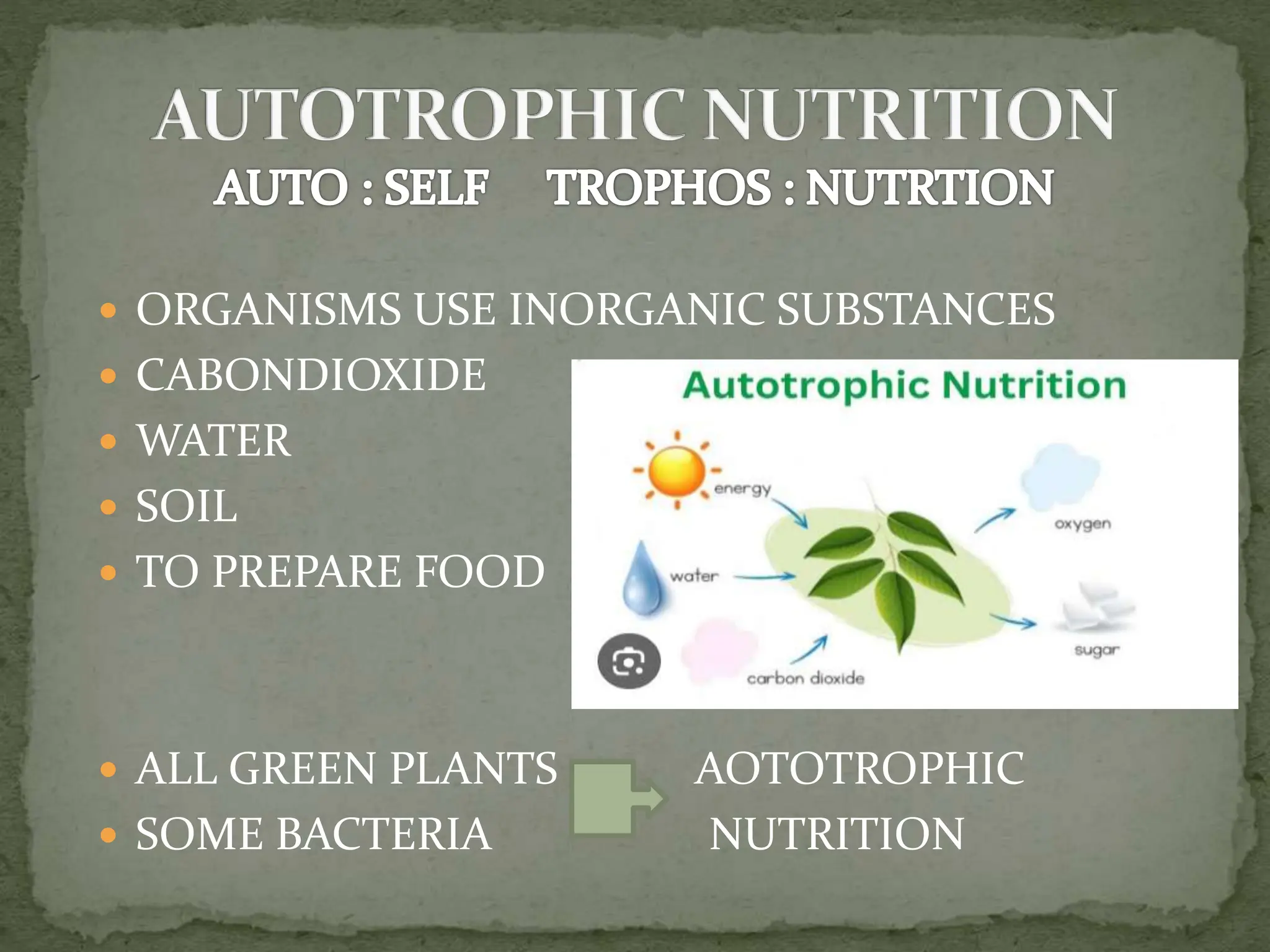 MODES OF NUTRITION IN PLANTS (1).pptx by Deshna jain 7th class student ...