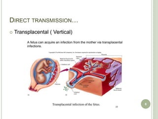 Modes of outbreak transmission | PPTX