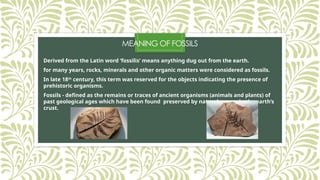 MODES OF PRESERVATION OF PLANT FOSSILS.pptx