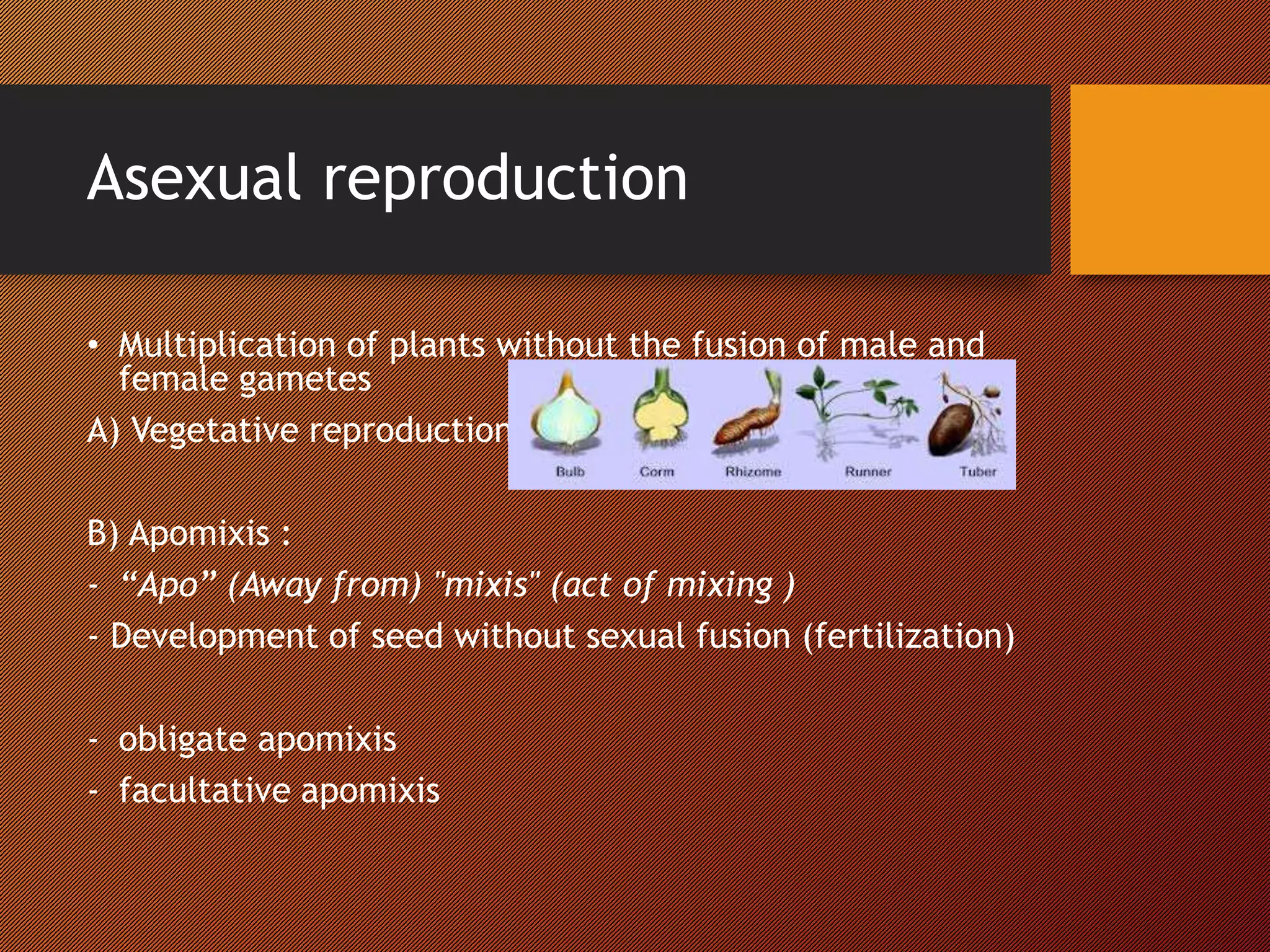 modes of reproduction and apomixis.ppt