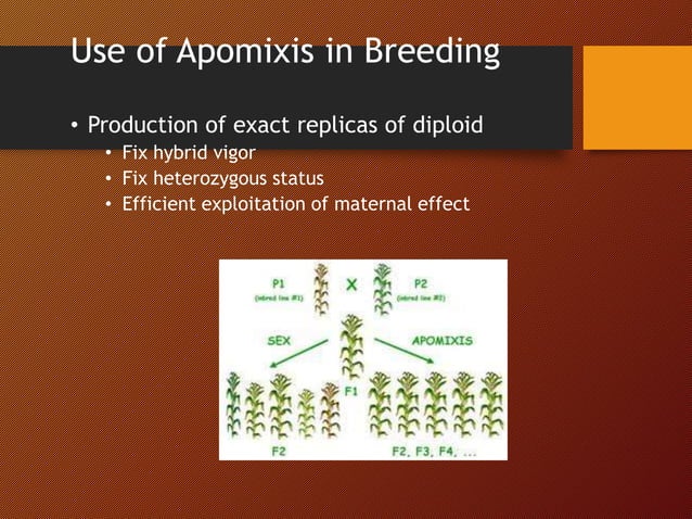 modes of reproduction and apomixis.ppt