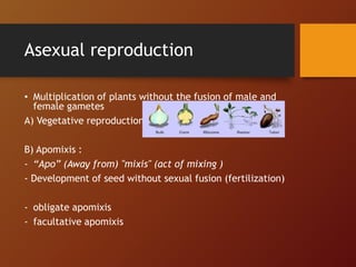 modes of reproduction and apomixis.ppt