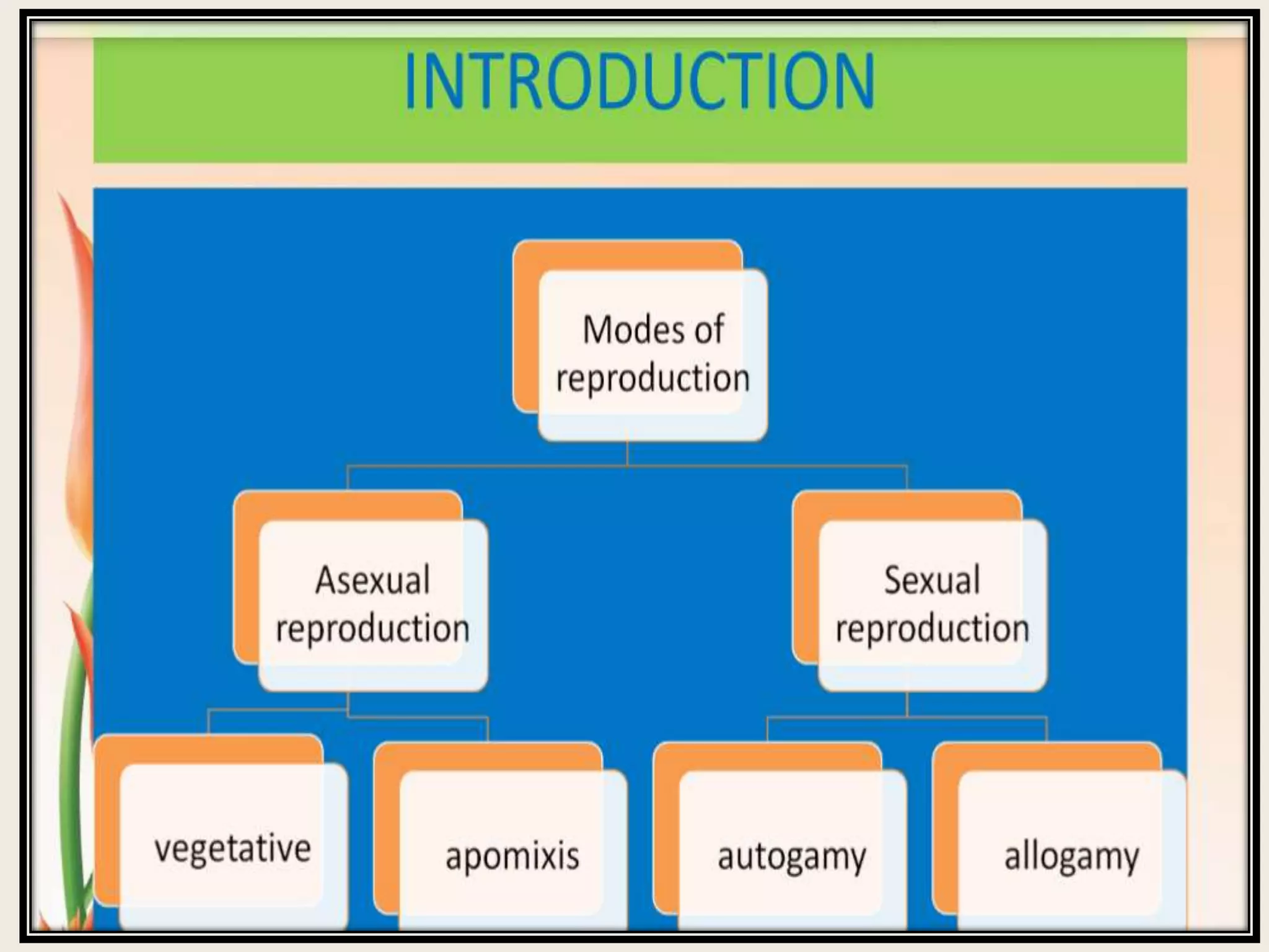 Modes of reproduction and apomixis lecture- Plant breeding and genetics | PPTX