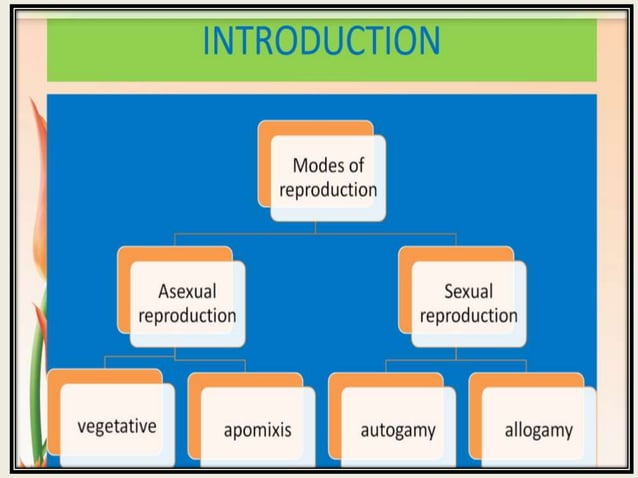 Modes of reproduction and apomixis lecture- Plant breeding and genetics ...