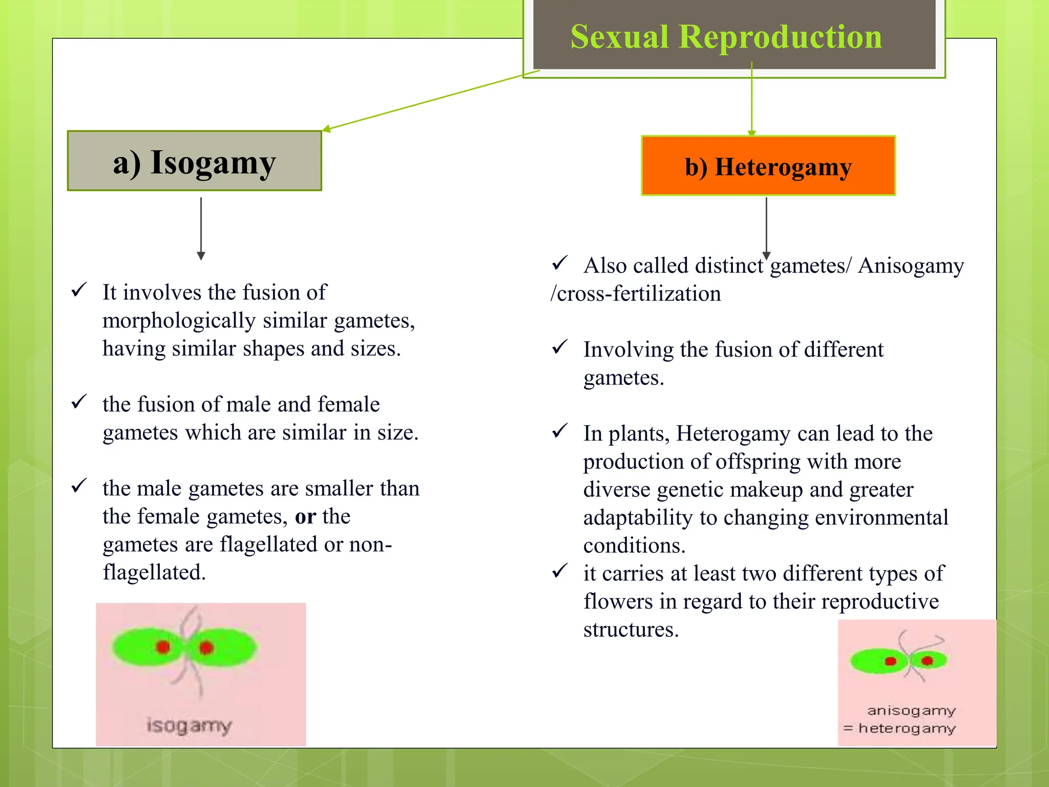 Modes of Reproduction in crop plant.pptx