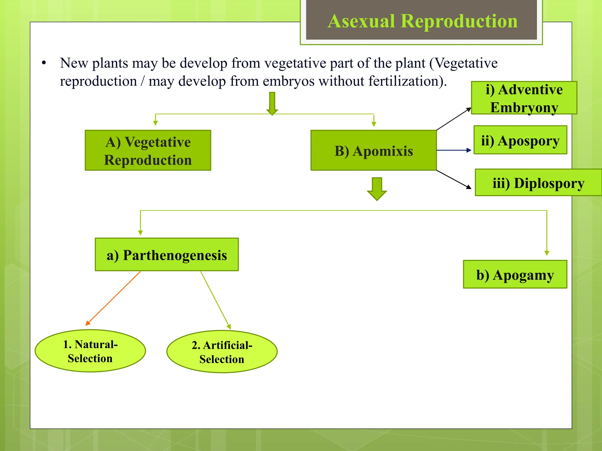 Modes of Reproduction in crop plant.pptx