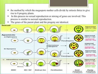 Modes of Reproduction in crop plant.pptx