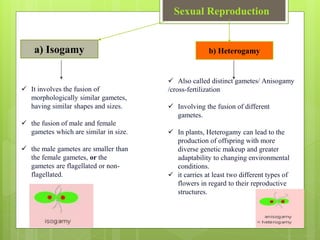 Modes of Reproduction in crop plant.pptx