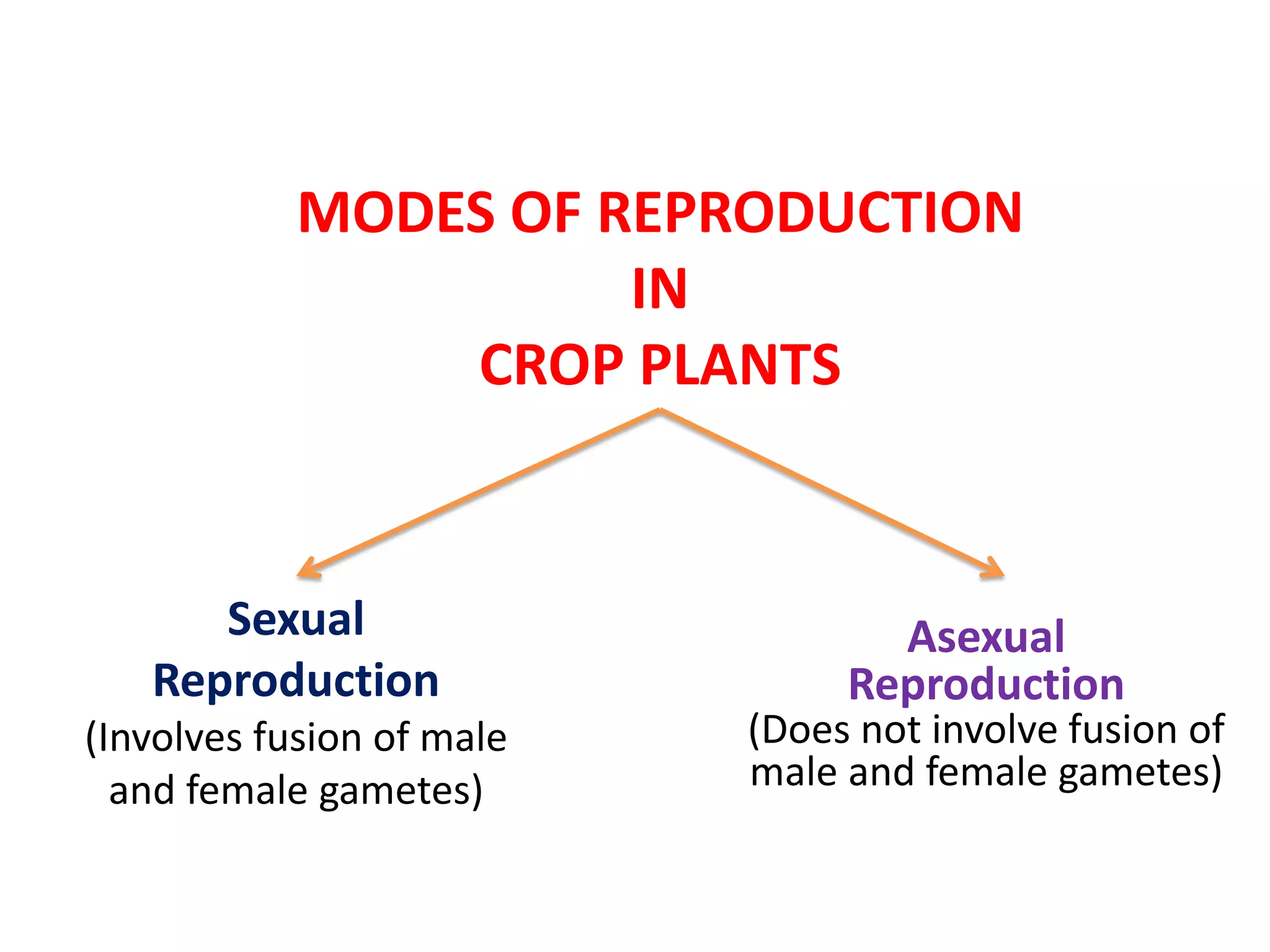 Modes of reproduction in crop plants | PDF