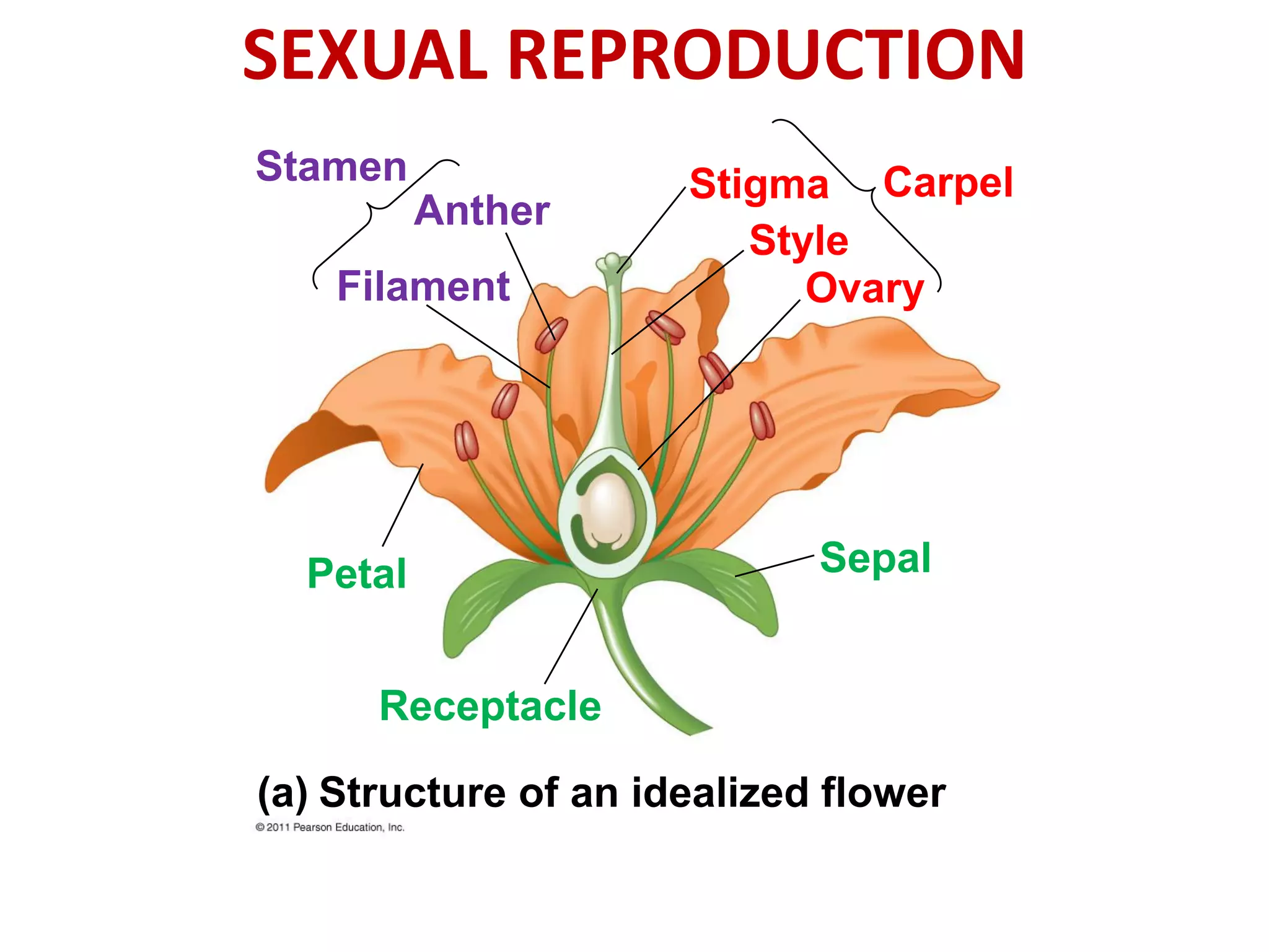 Modes of reproduction in crop plants | PDF