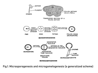 Modes of reproduction in crop plants | PDF