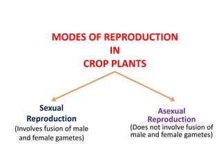 Modes of reproduction in crop plants | PDF