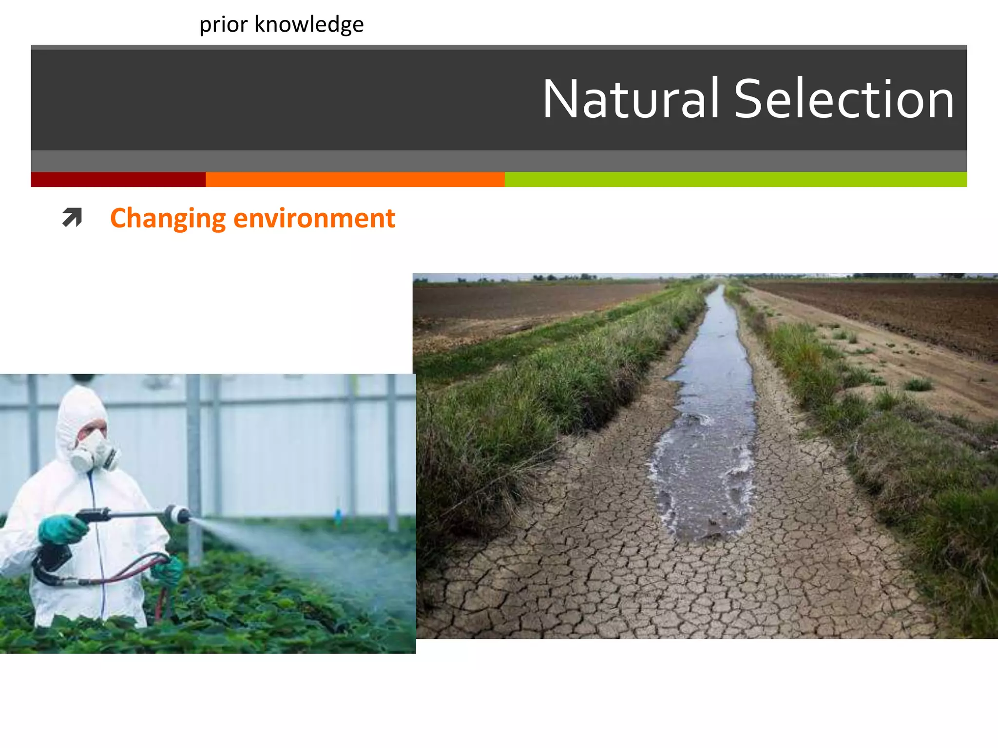 AP Biology Modes of selection lesson | PPT