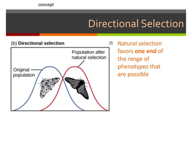 AP Biology Modes of selection lesson | PPT