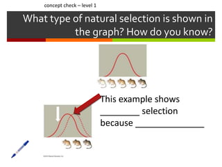 AP Biology Modes of selection lesson | PPT