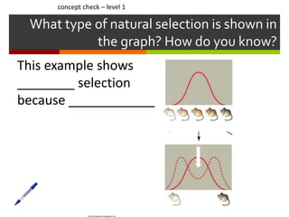 AP Biology Modes of selection lesson | PPT