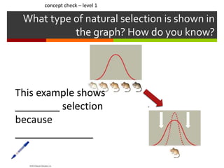 AP Biology Modes of selection lesson | PPT