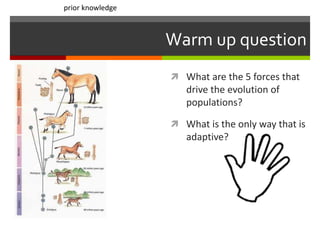 AP Biology Modes of selection lesson | PPT