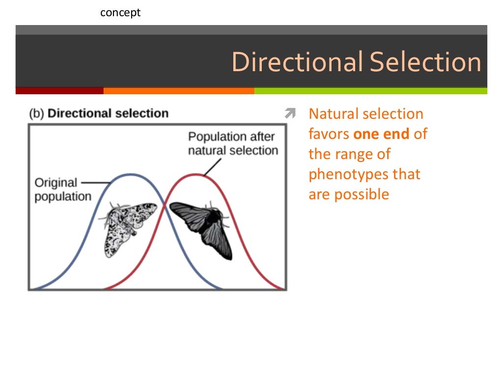 AP Biology Modes of selection lesson