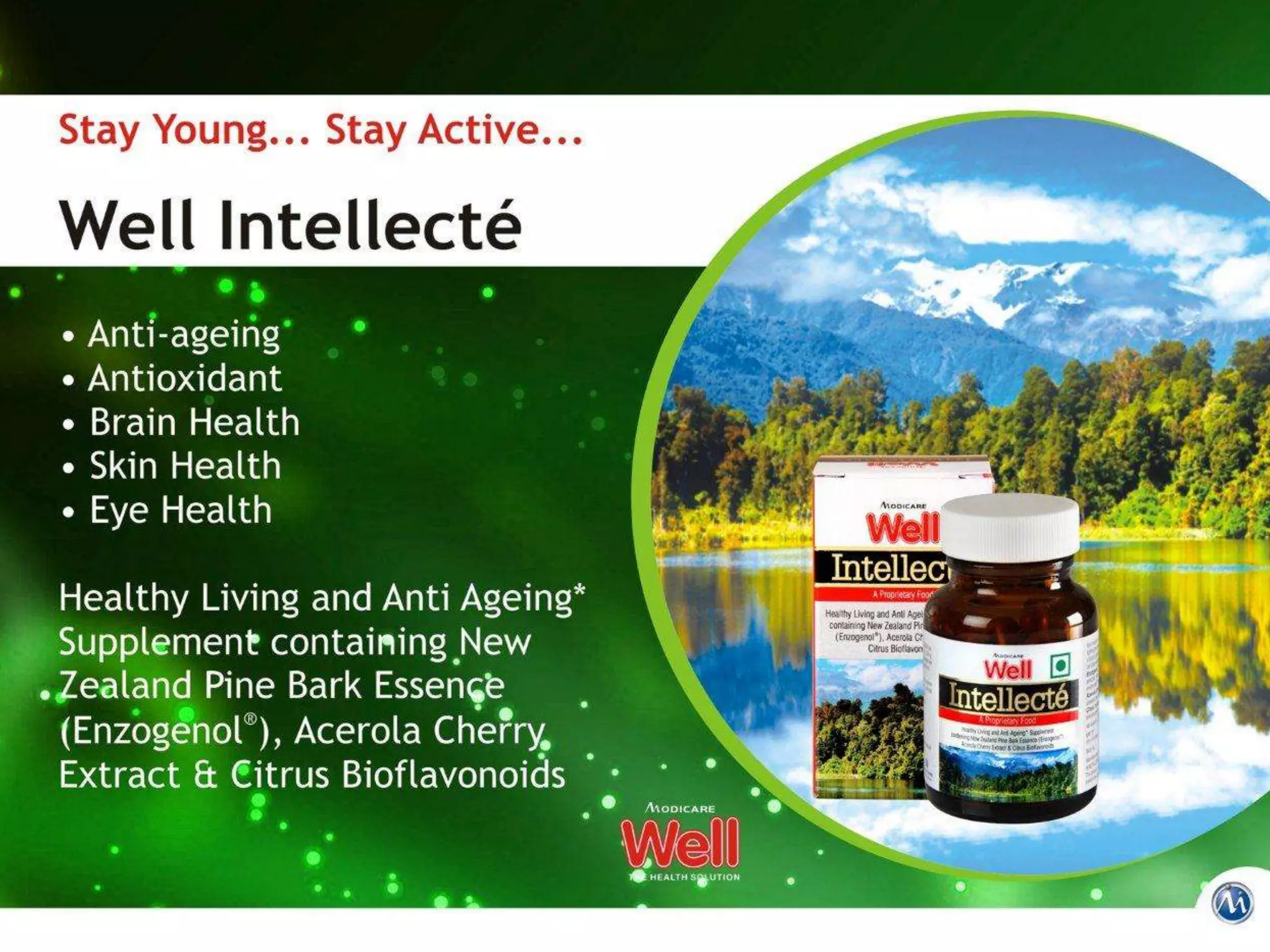 Modicare business plan | PPTX